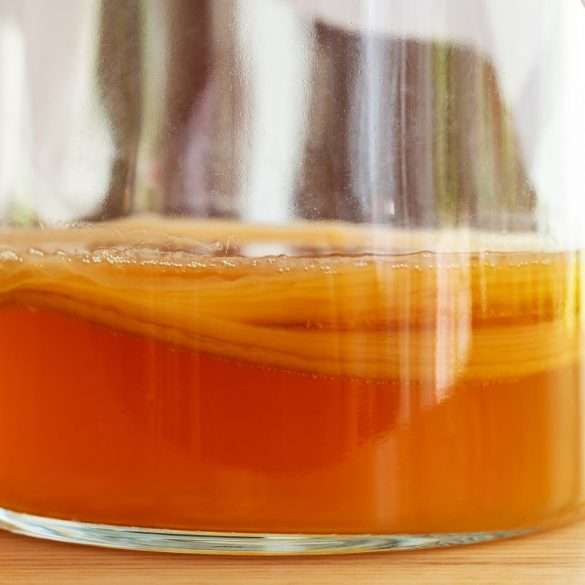 What is a SCOBY? How to Make, Feed, and Store a Kombucha SCOBY