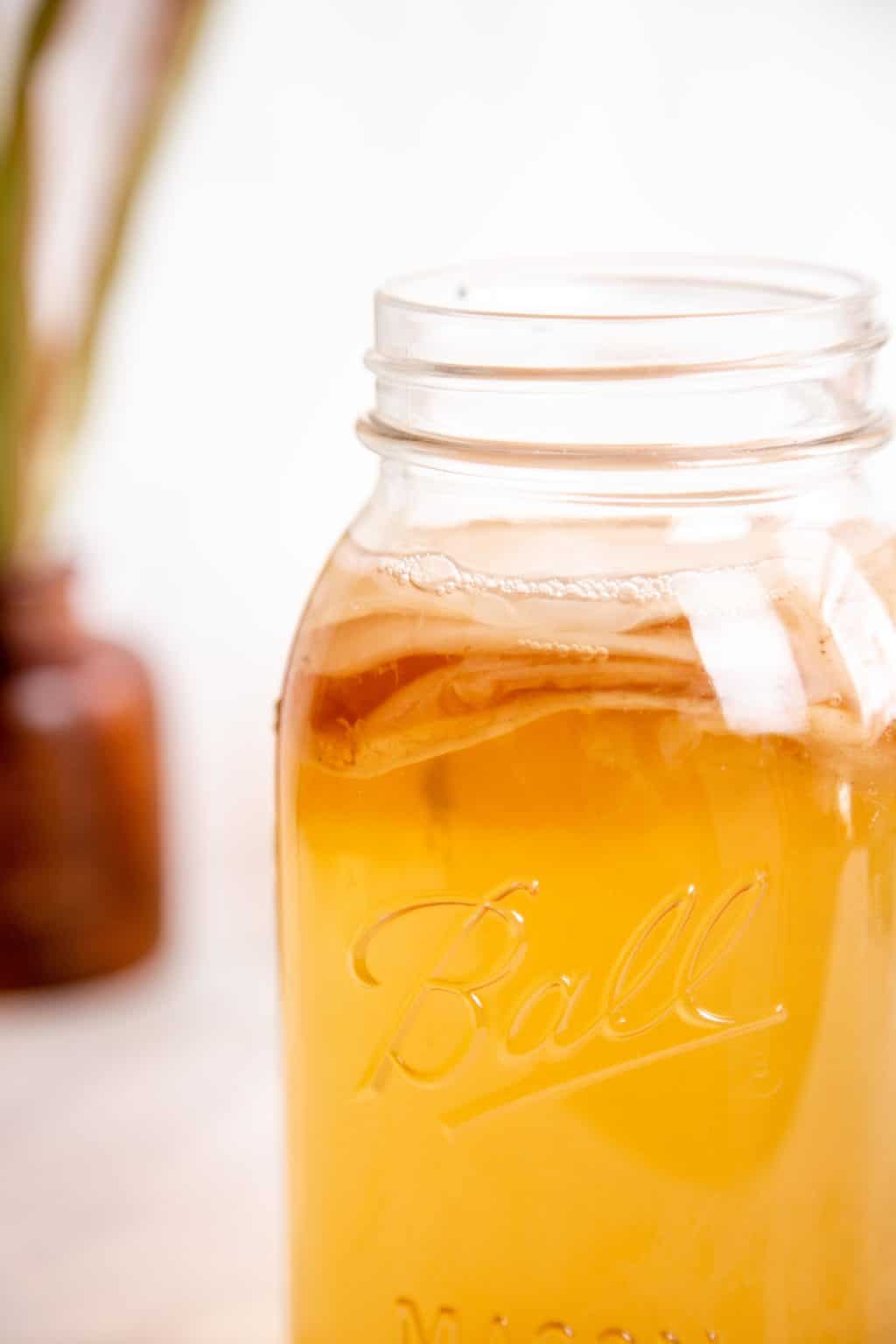 What is a SCOBY? How to Make, Feed, and Store a Kombucha SCOBY