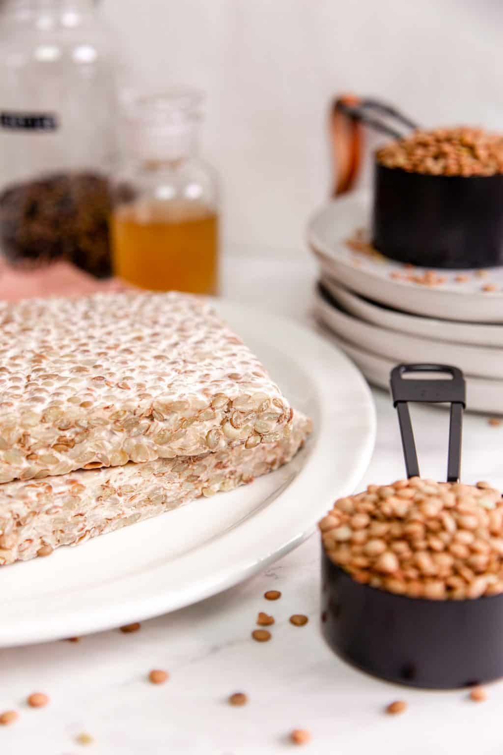 How to Make Tempeh (With Soy-Free Options) • Cultured Guru