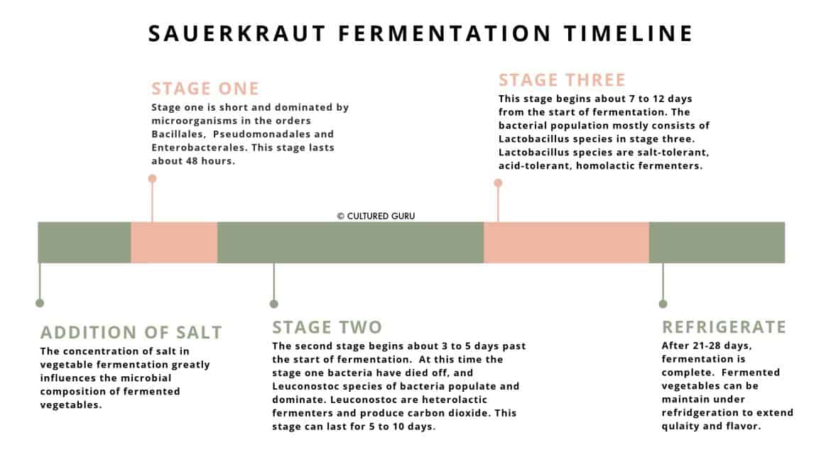 How Long to Ferment Sauerkraut? • Cultured Guru