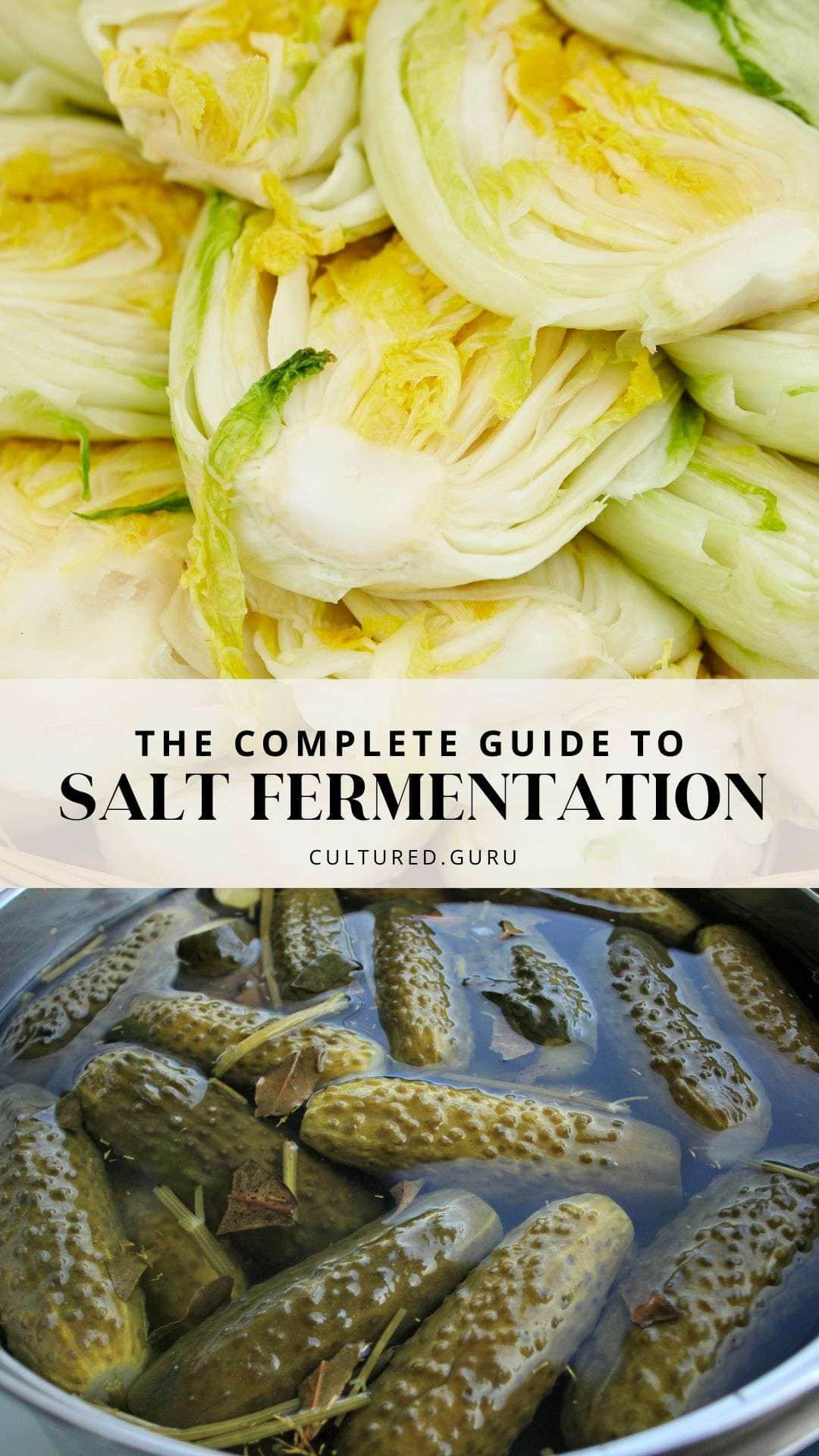 The Complete Guide to Salt Fermentation • Cultured Guru
