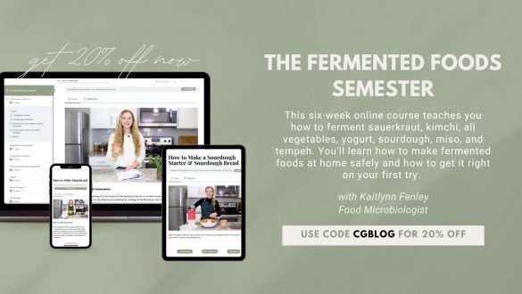 The Complete Guide to Salt Fermentation • Cultured Guru