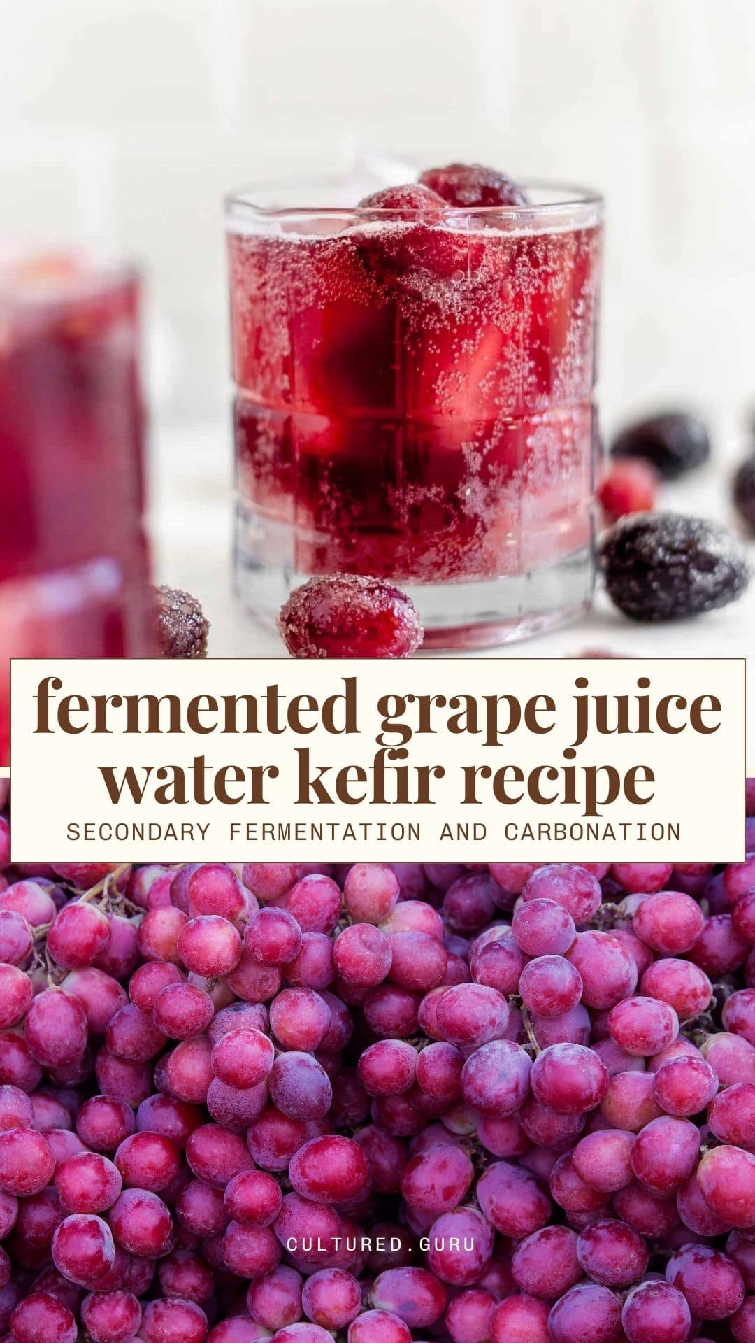 Fermented Grape Juice Water Kefir (Secondary Fermentation)