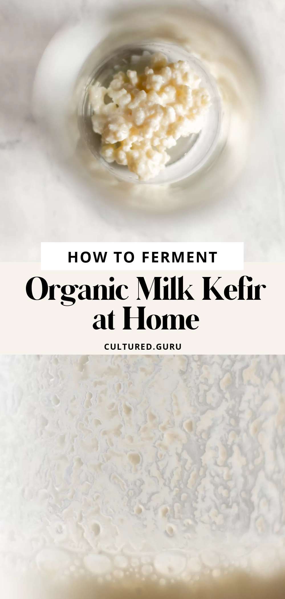 How to Make Fermented Milk Kefir at Home • Cultured Guru