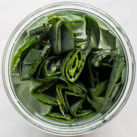Fermented Leeks: How to Ferment Leek Tops