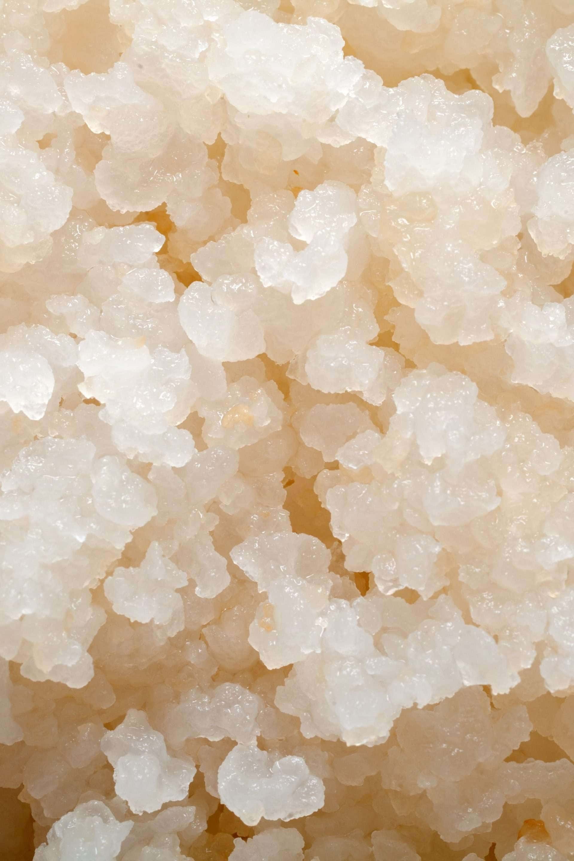 A Guide to Water Kefir Grains (Water Kefir Primary Fermentation)