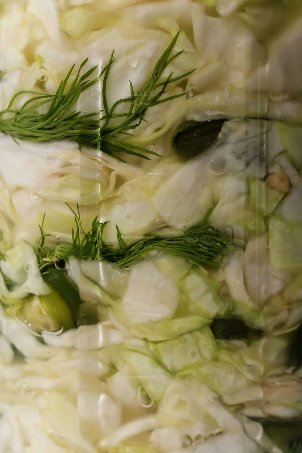 How to Ferment Vegetables Using Easy Fermented Foods Recipes