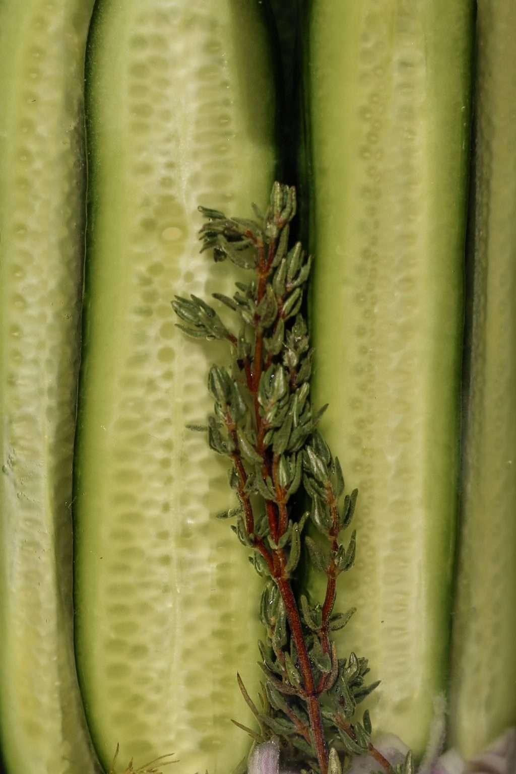 Fermented Cucumbers: Fermenting Sliced Cucumbers Two Ways