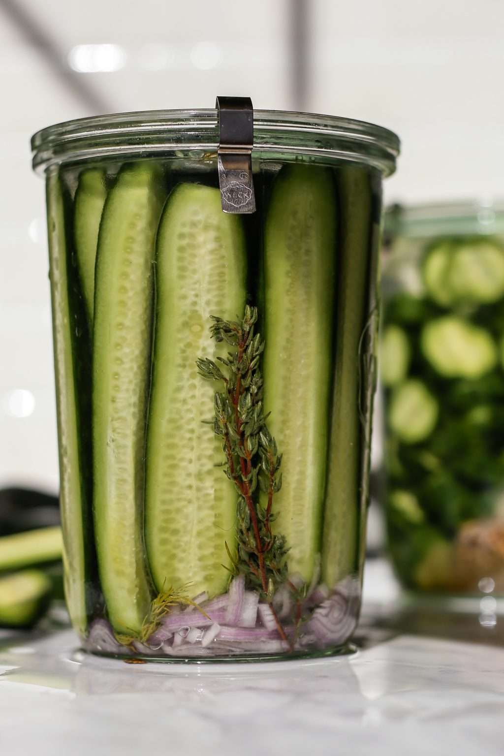 Ten Easy Fermented Vegetable Recipes for Beginners