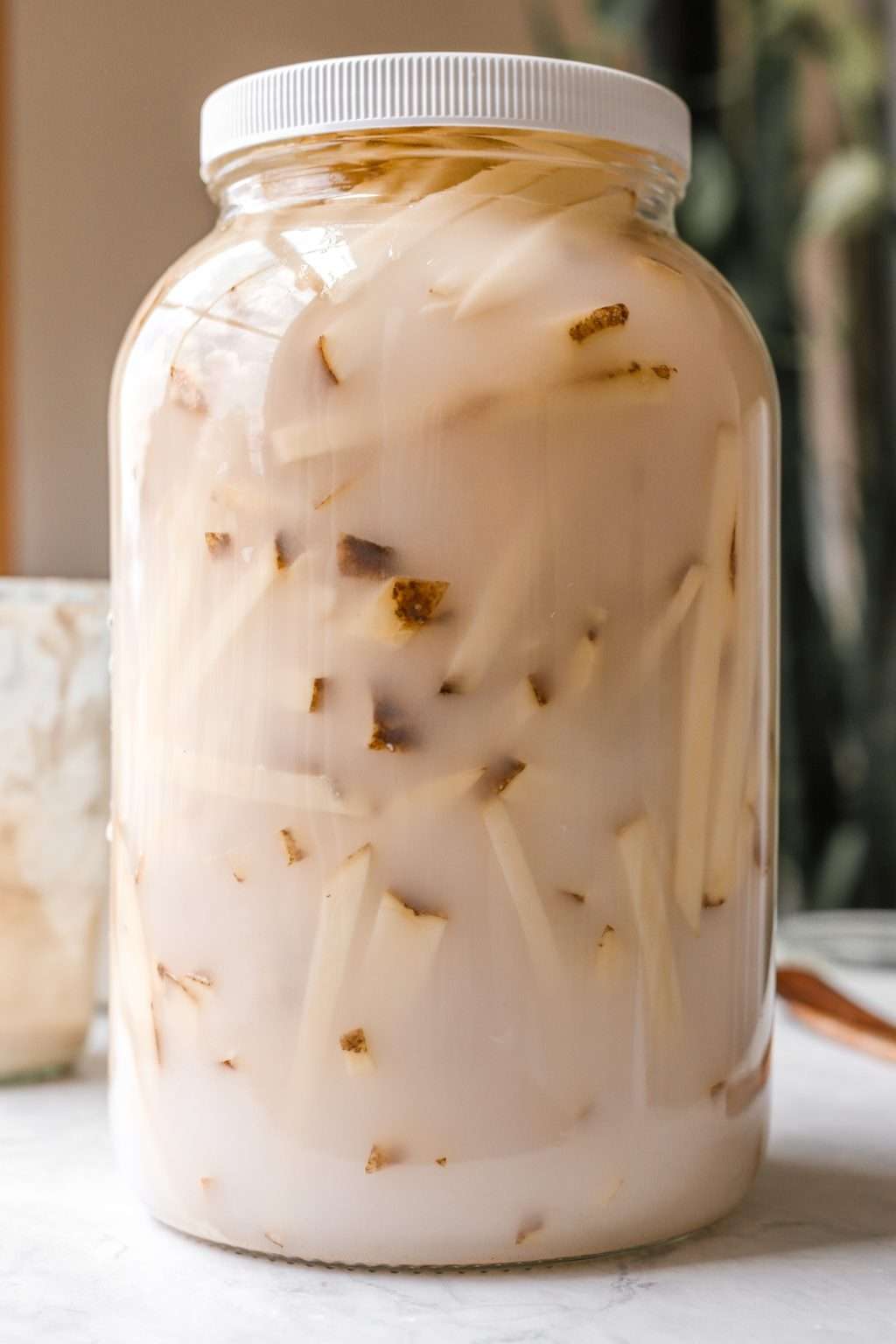 Fermented Lemon Pepper Fries Fried in Duck Fat