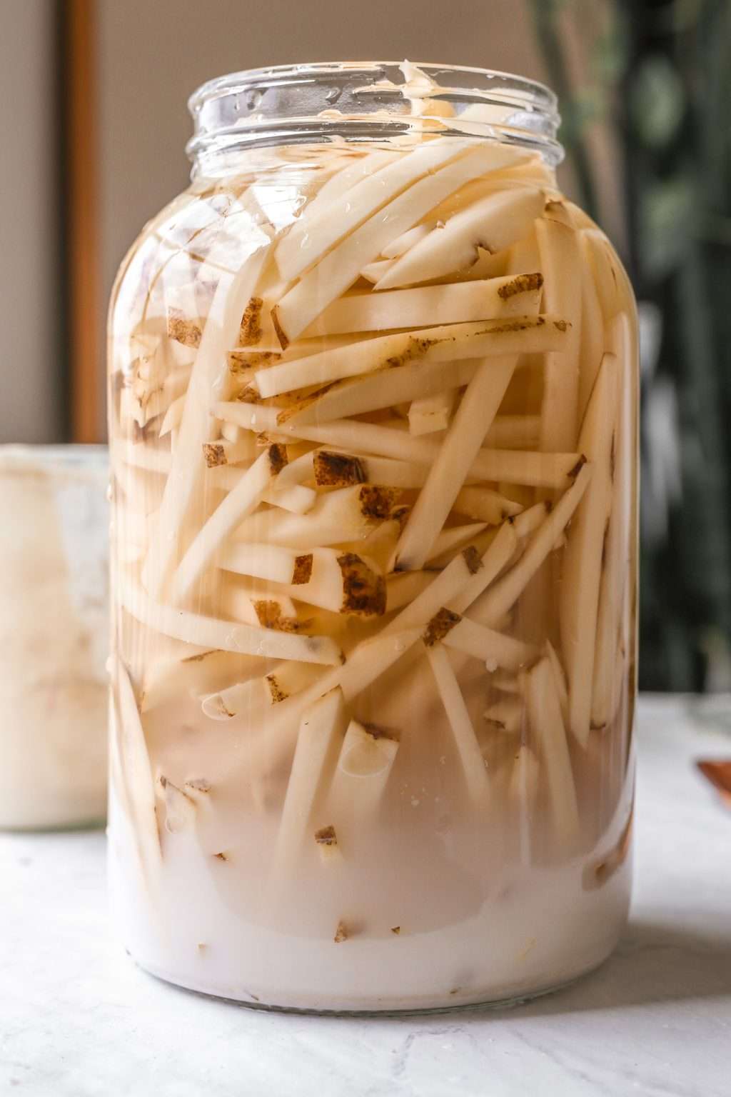 Fermented Lemon Pepper Fries Fried in Duck Fat