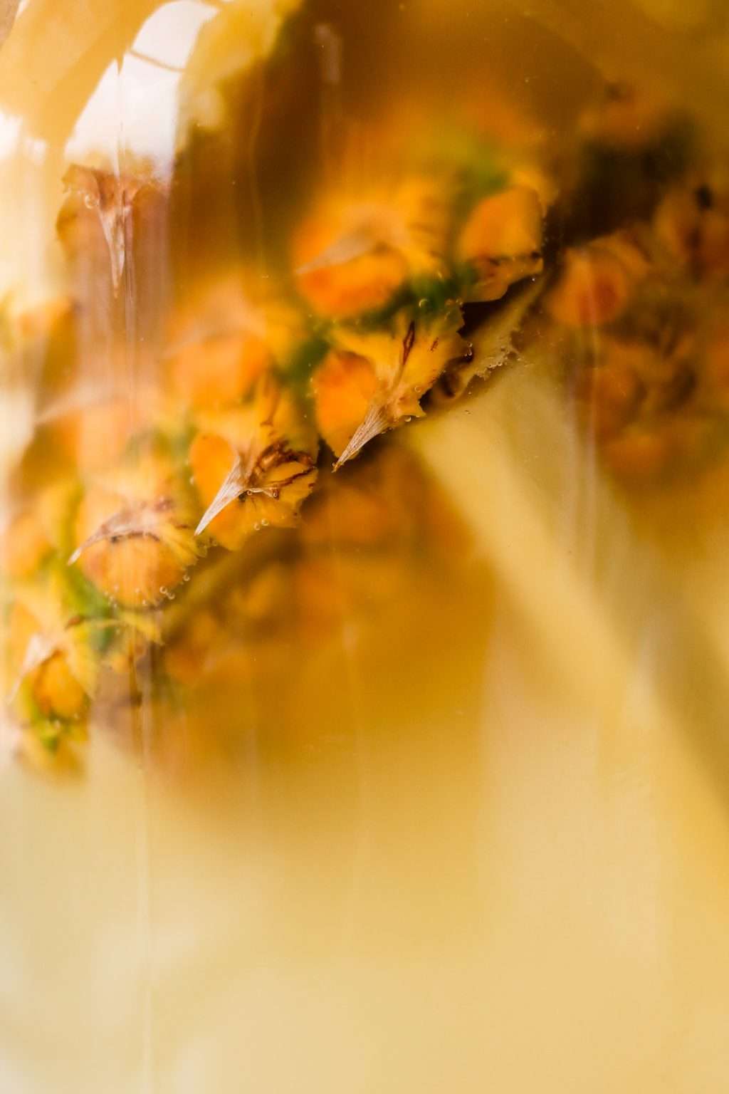 How to Make Pineapple Vinegar from Pineapple Scraps