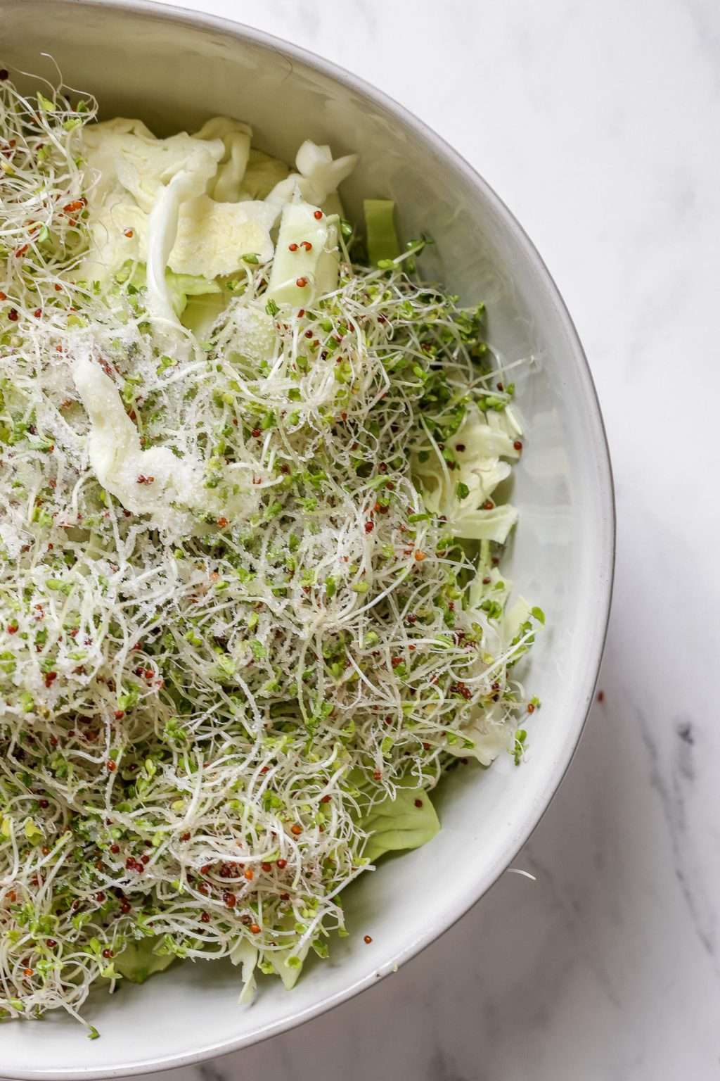 Fermented Broccoli Sprouts Sauerkraut • Cultured Guru