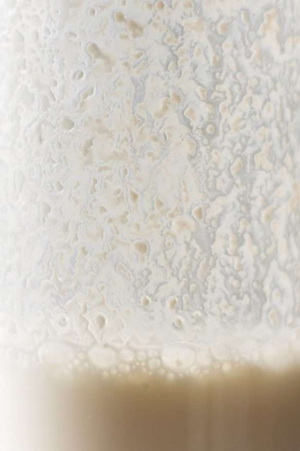 How to Make Fermented Milk Kefir at Home (Two Ways)