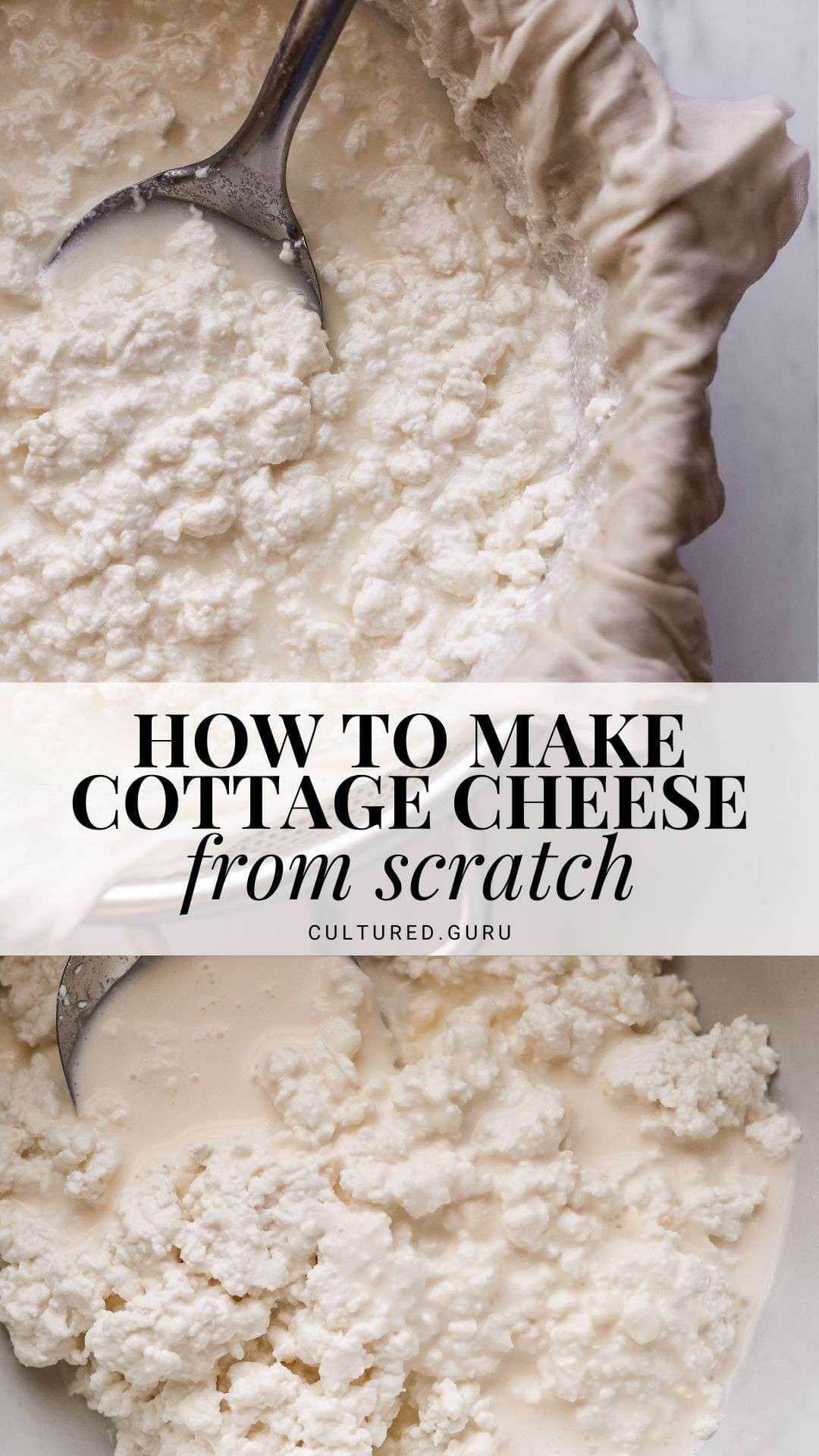 How to Make Cottage Cheese Fermented with Probiotic Cultures