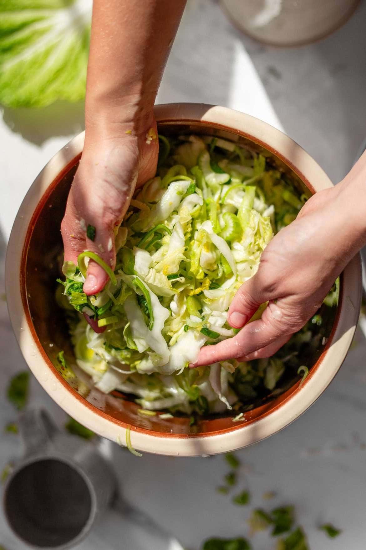 How to Make Sauerkraut in a Crock Customizable Master Recipe