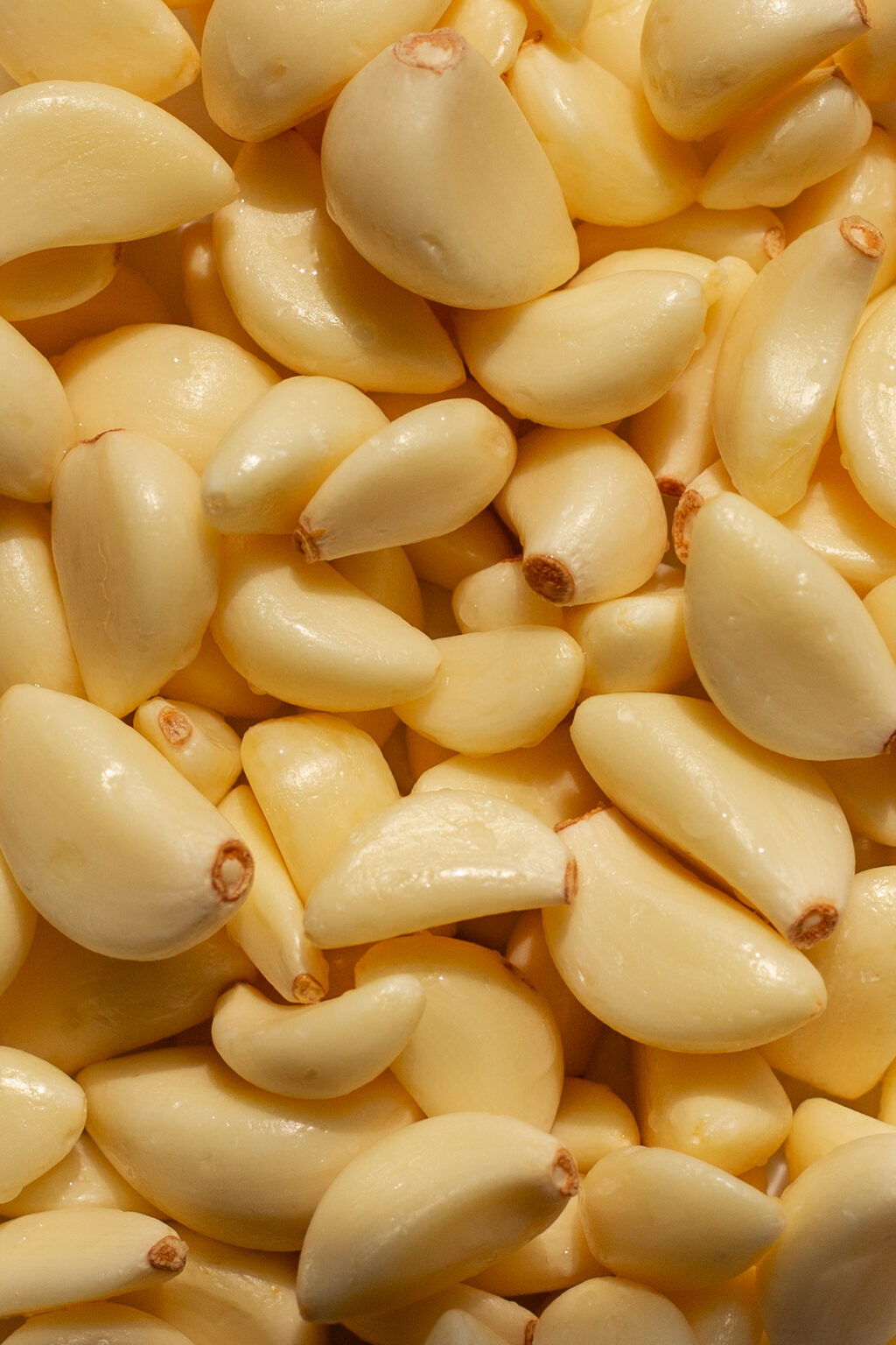 Fermented Garlic Honey Oxymel Recipe (Safe from Botulism!)