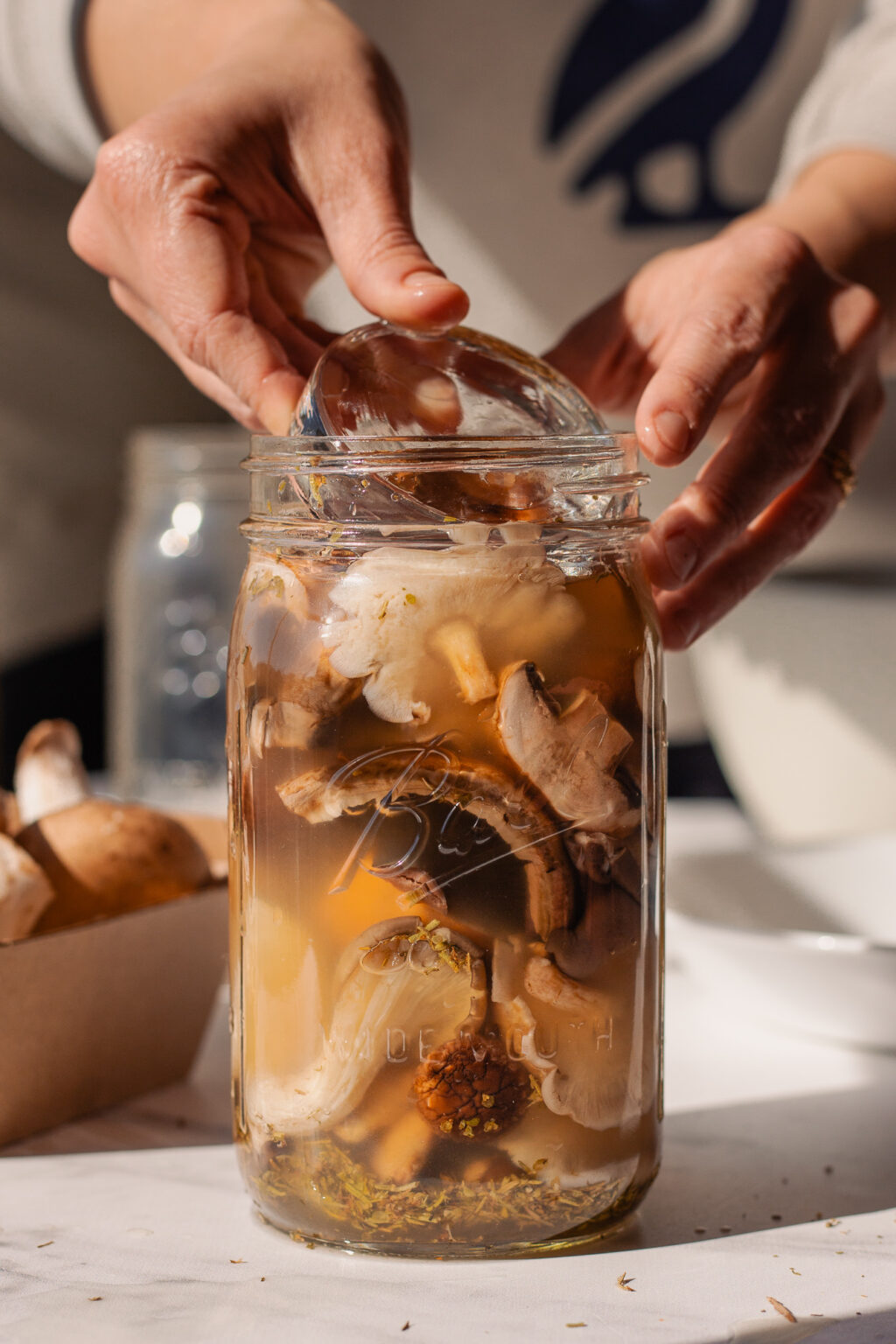 The Complete Guide to Salt Fermentation • Cultured Guru